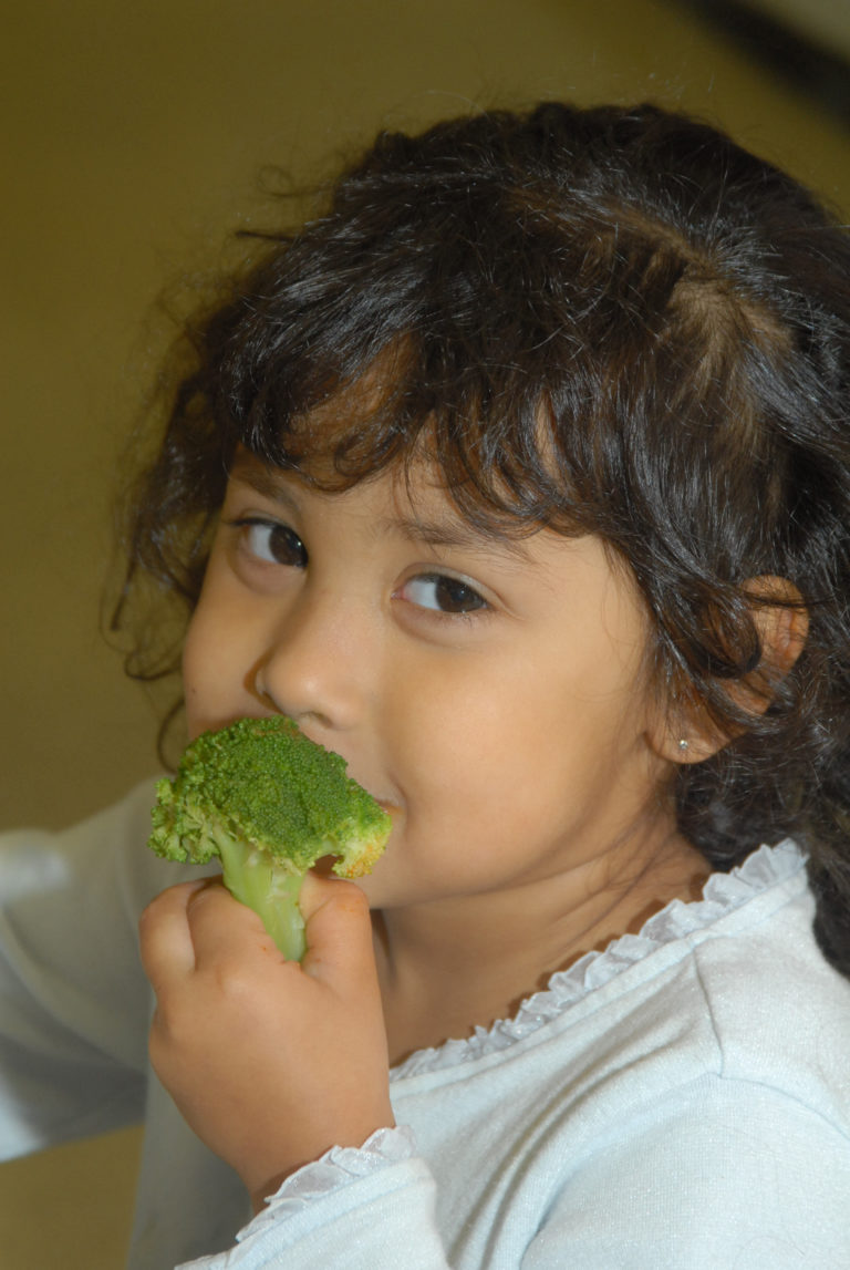 Maryland’s CACFP Program: Serving Healthy Meals, One Child and Adult at ...
