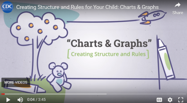 Charts and Graphs: Creating Structure and Rules (video) – MARYLAND ...